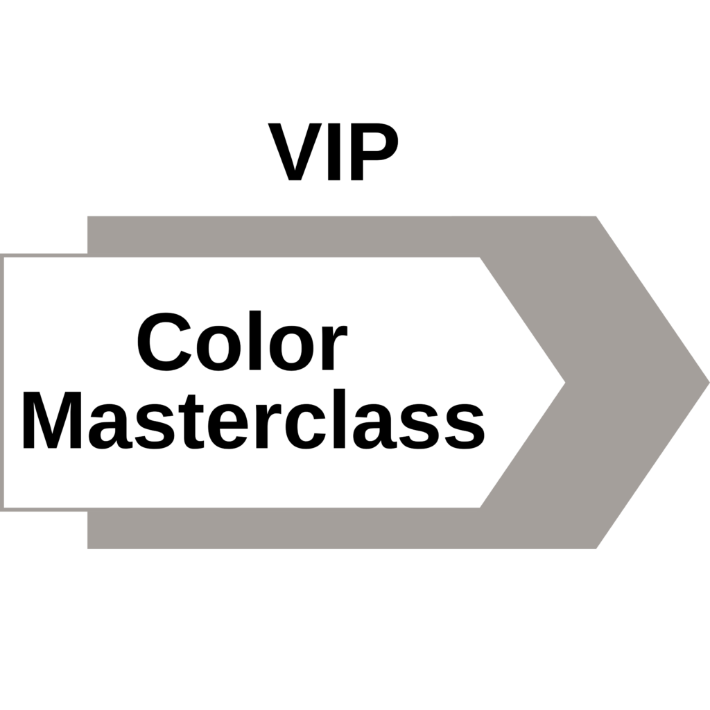 Masterclass - Color Analysis - Agile Styling